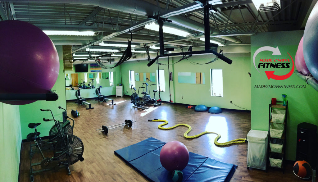 Group Fitness Training - Made 2 Move Fitness Williamsville, NY 14221